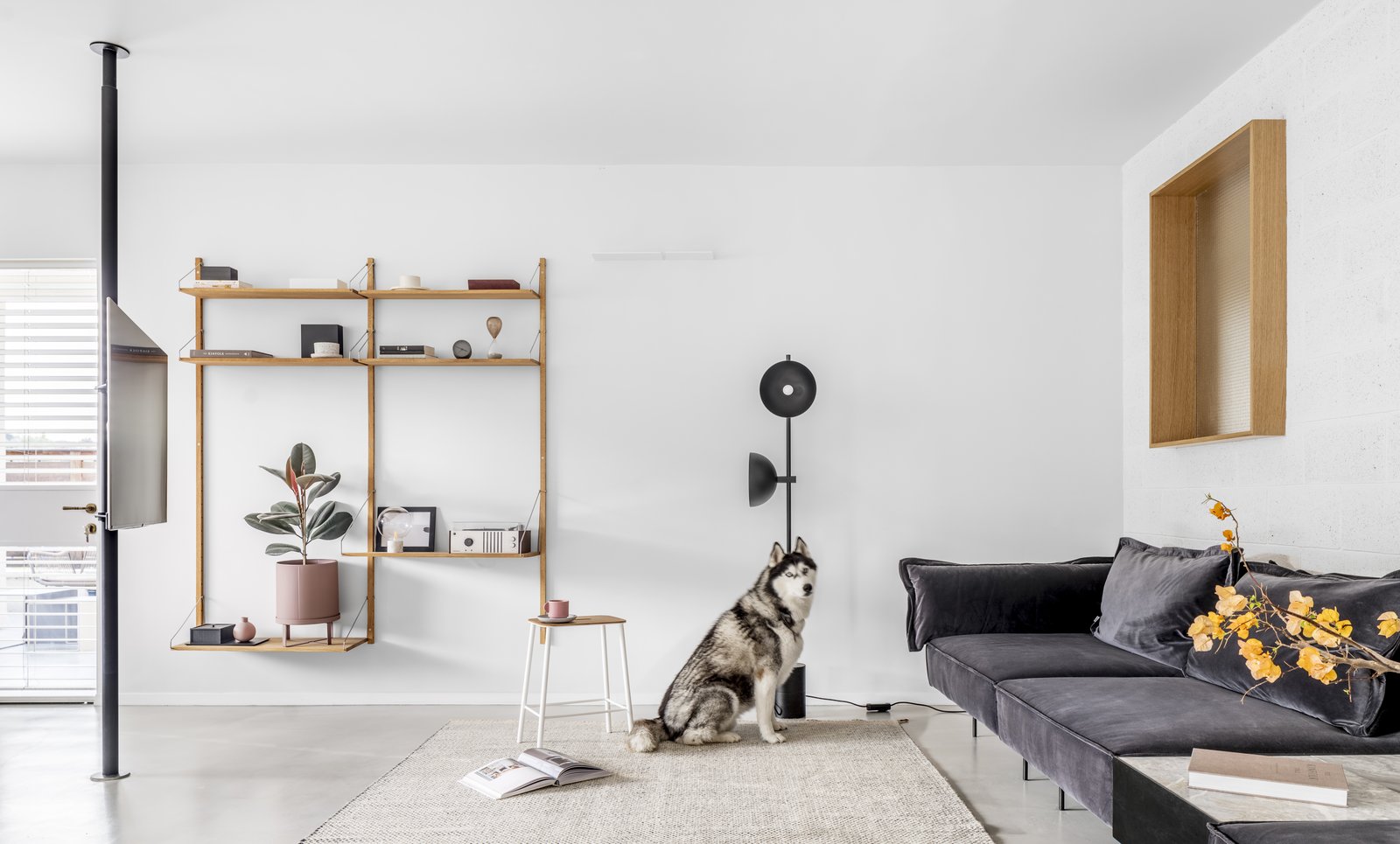FabModula Tips To Create A Pet Friendly Home
